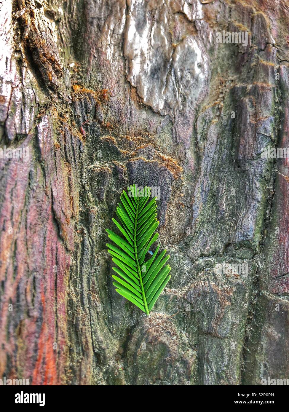 Old layers hi-res stock photography and images - Alamy