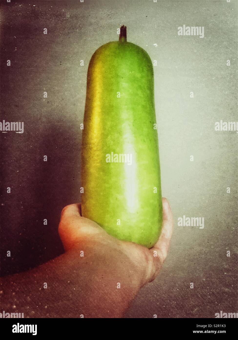 Green bottle gourd in a person’s hand Stock Photo - Alamy