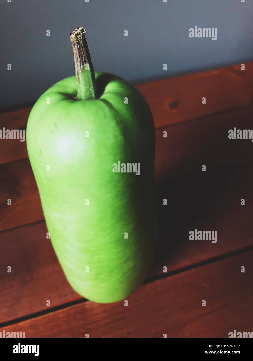 Bottle gourd lagenaria siceraria hi-res stock photography and images ...