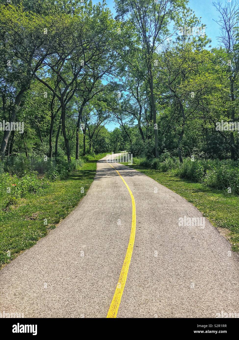 Empty forest preserve bicycle trail wandering off into the woods Stock ...