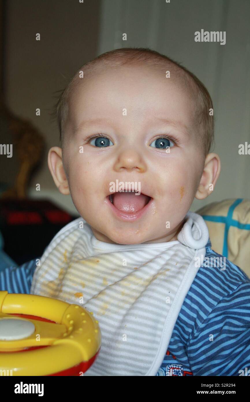 For the love of benji hi-res stock photography and images - Alamy