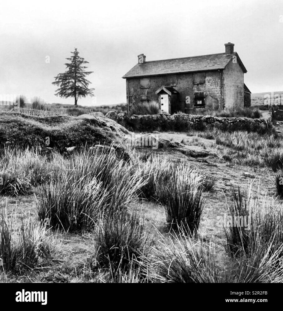 The nuns house book cover hi-res stock photography and images - Alamy