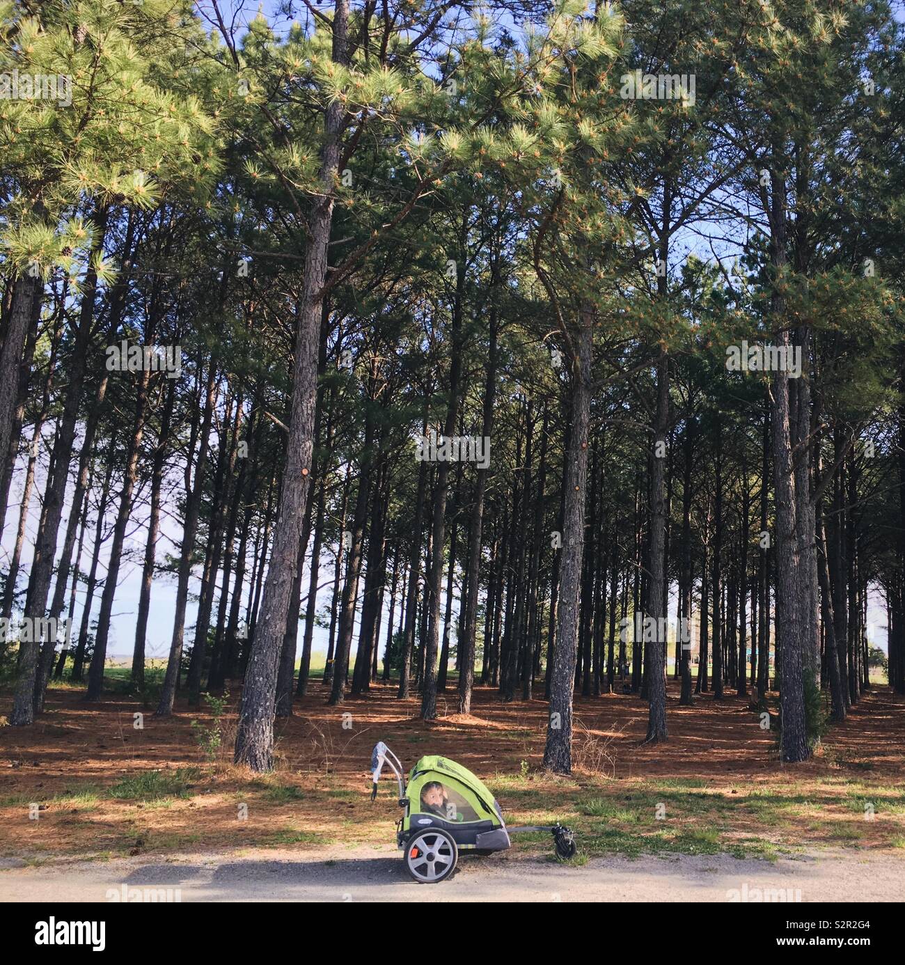 Green double stroller with child looking out the window in front of a ...