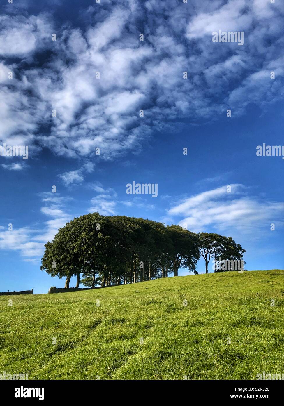 Otley chevin trees hi-res stock photography and images - Alamy