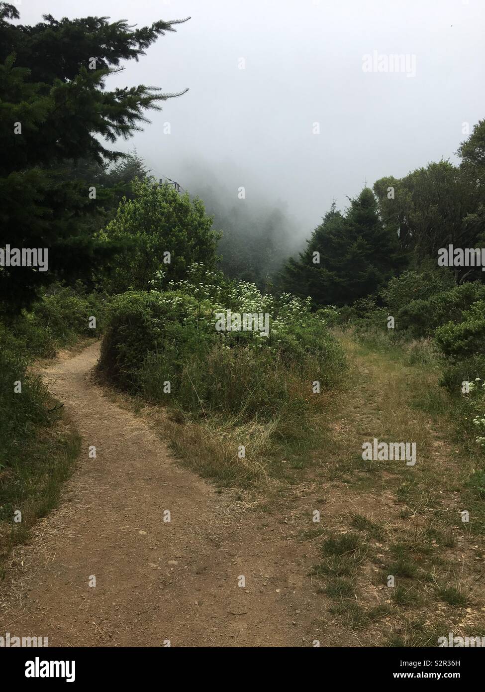 Two pathways hi-res stock photography and images - Alamy