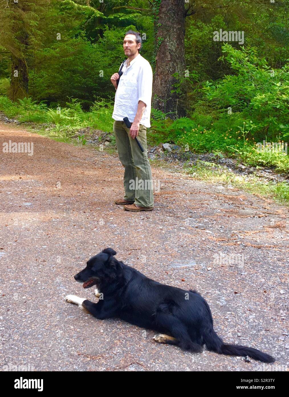 Man standing on a path in the woods behind a laying dog Stock Photo - Alamy