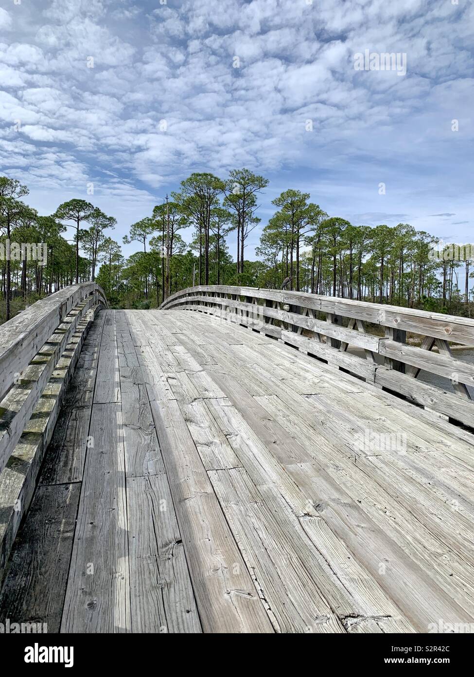 Long wooden bridge leading to forest area with blue skies and white ...