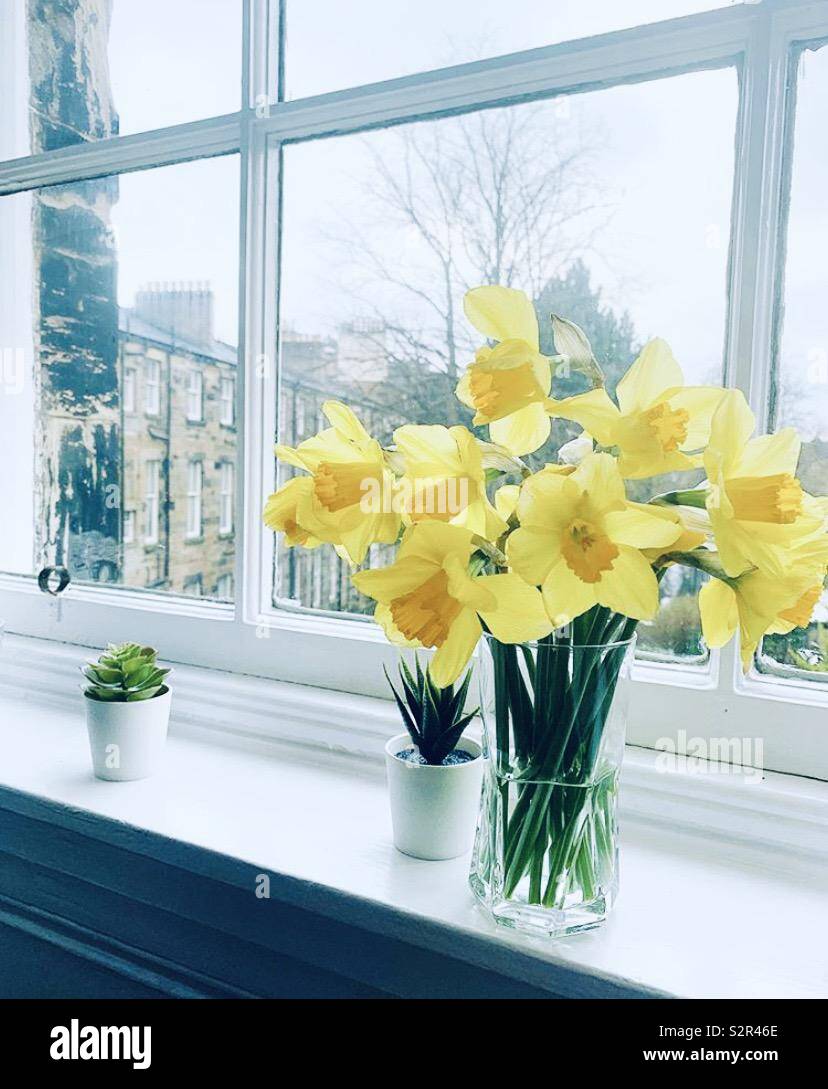 Grey Skies In Spring Stock Photo - Alamy