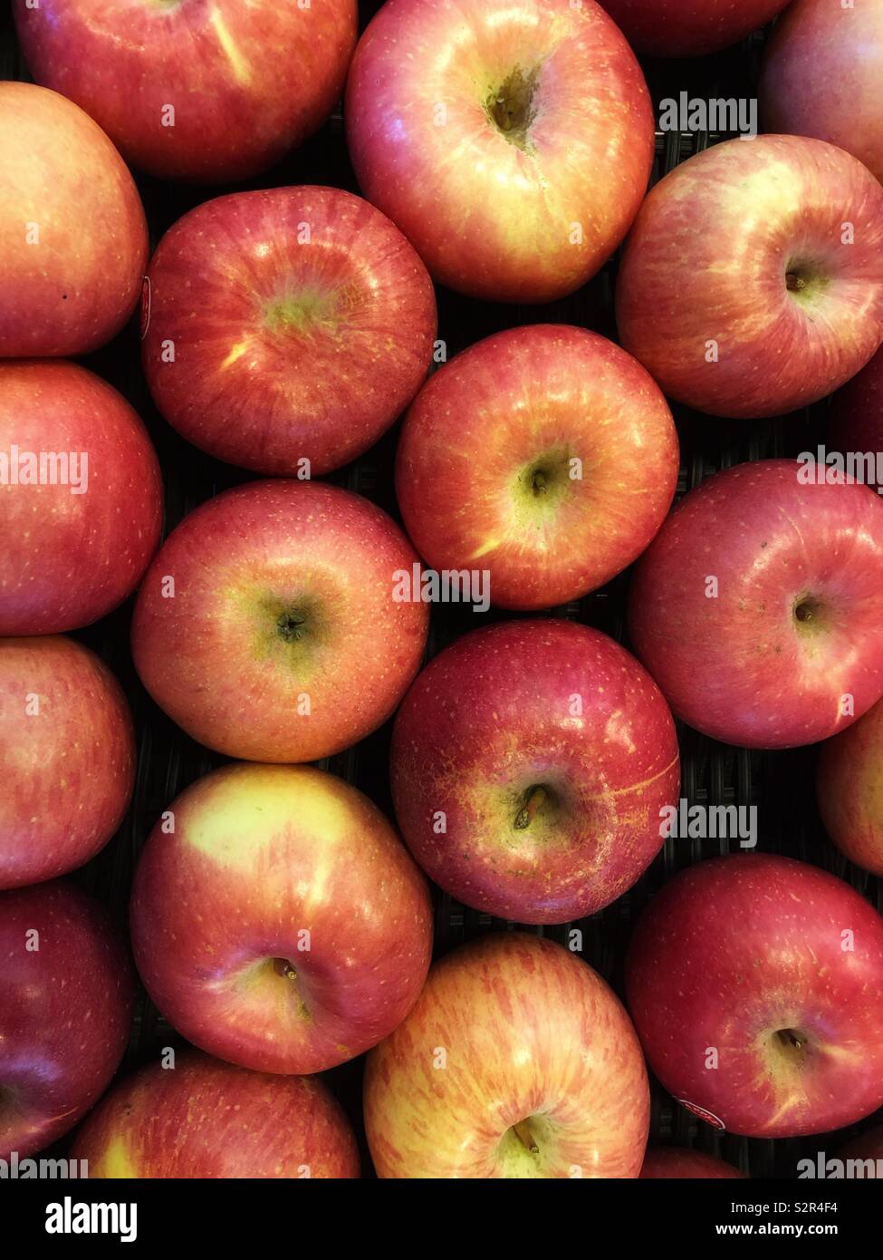 Flat Layout Red Apples. Random composition. View from above Stock Photo ...