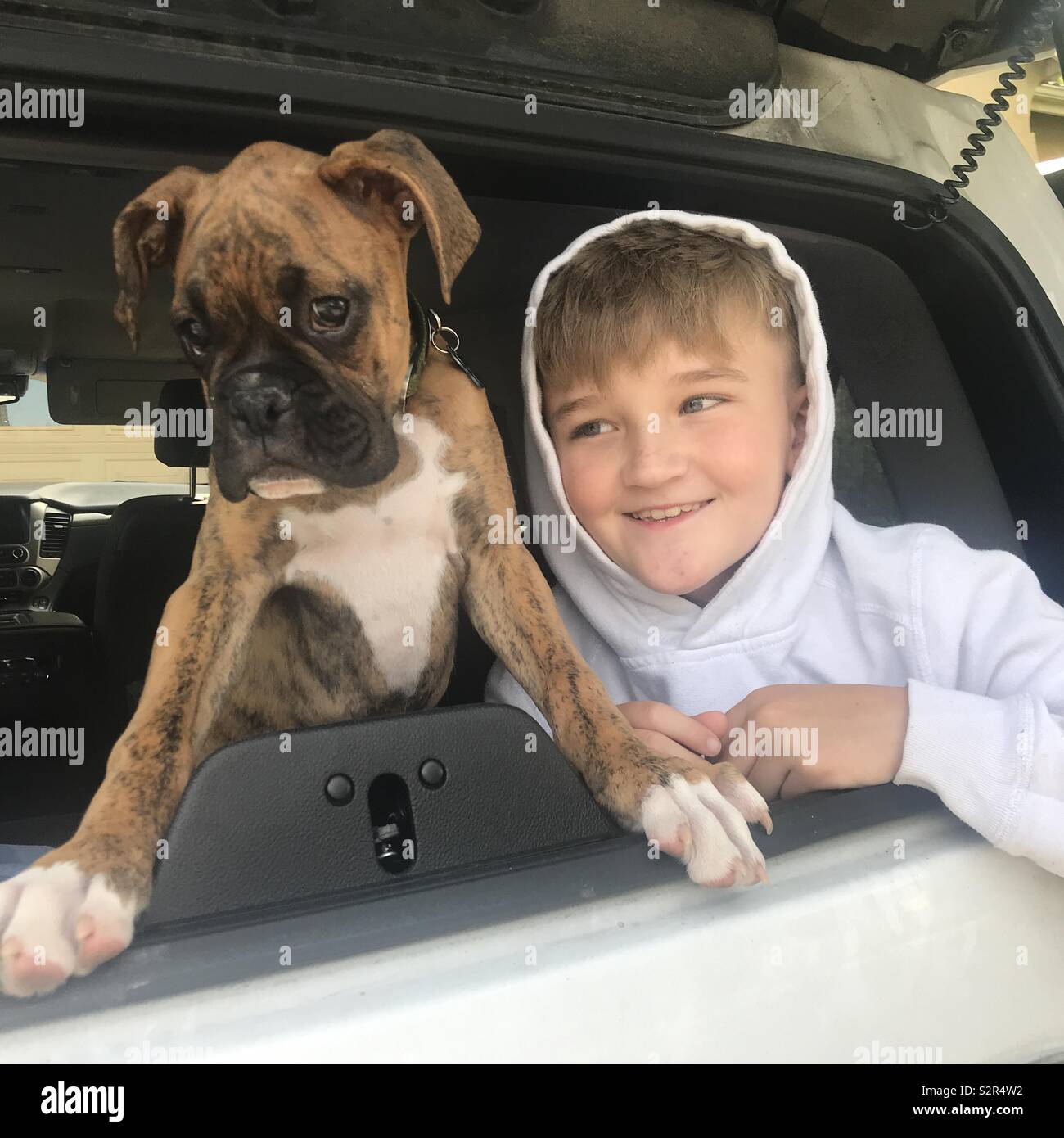 A little boy and his dog getting ready for a road trip adventure Stock ...