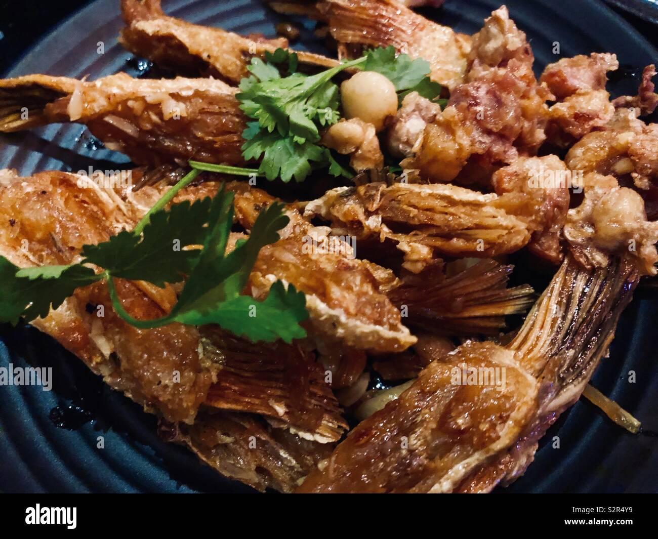 Special food hi-res stock photography and images - Alamy