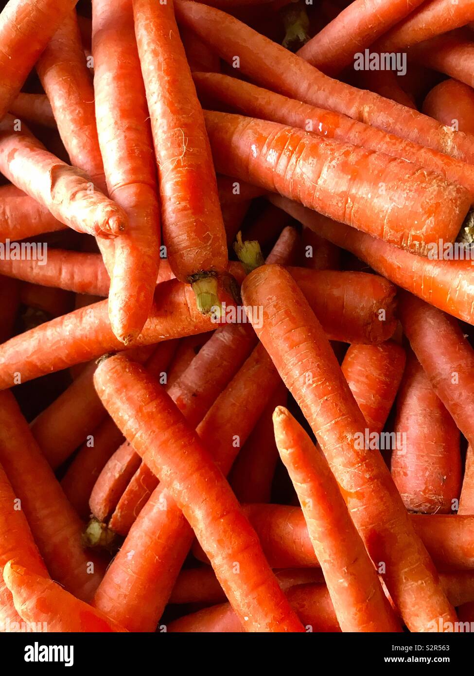 Fresh carrots at a farmers market Stock Photo - Alamy