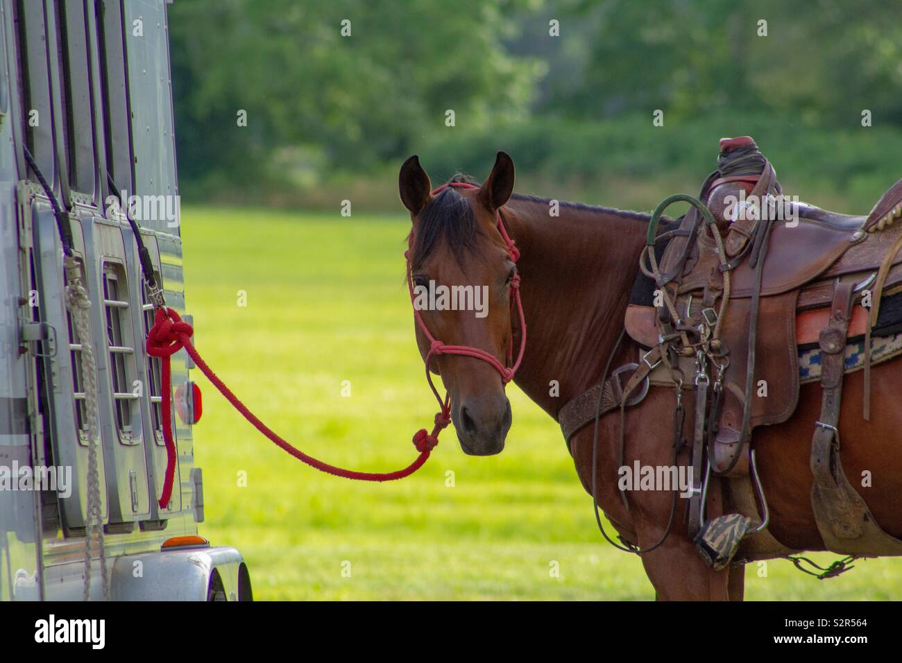 Cowboy up hi-res stock photography and images - Alamy