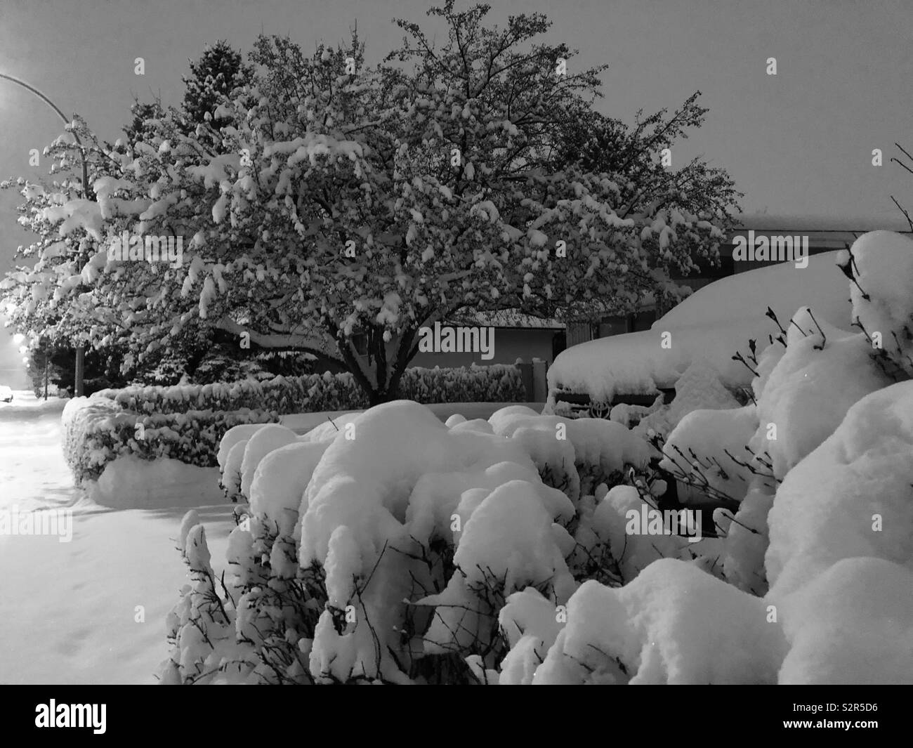 Heavy snowfall in an urban residential area Stock Photo - Alamy