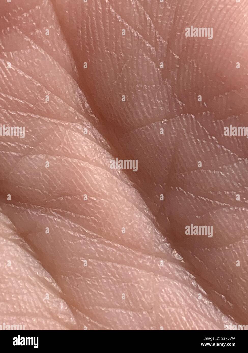 Skin crease hi-res stock photography and images - Alamy