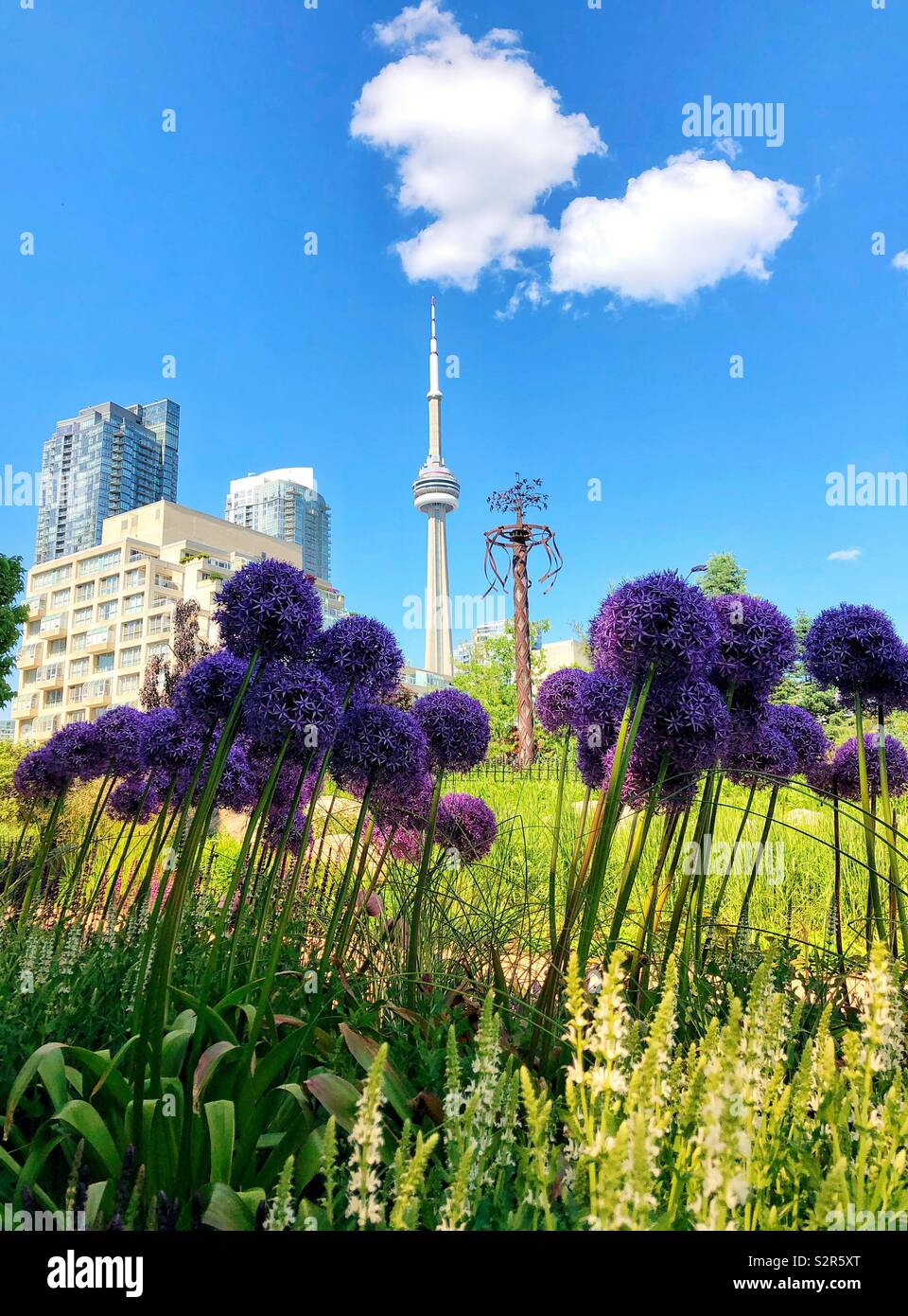 The iconic CN Tower in Toronto, Canada Stock Photo - Alamy