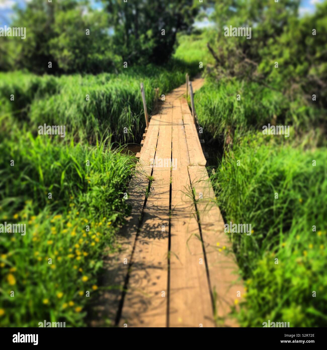 Wooden path, beautiful summeday in the countryside Stock Photo - Alamy