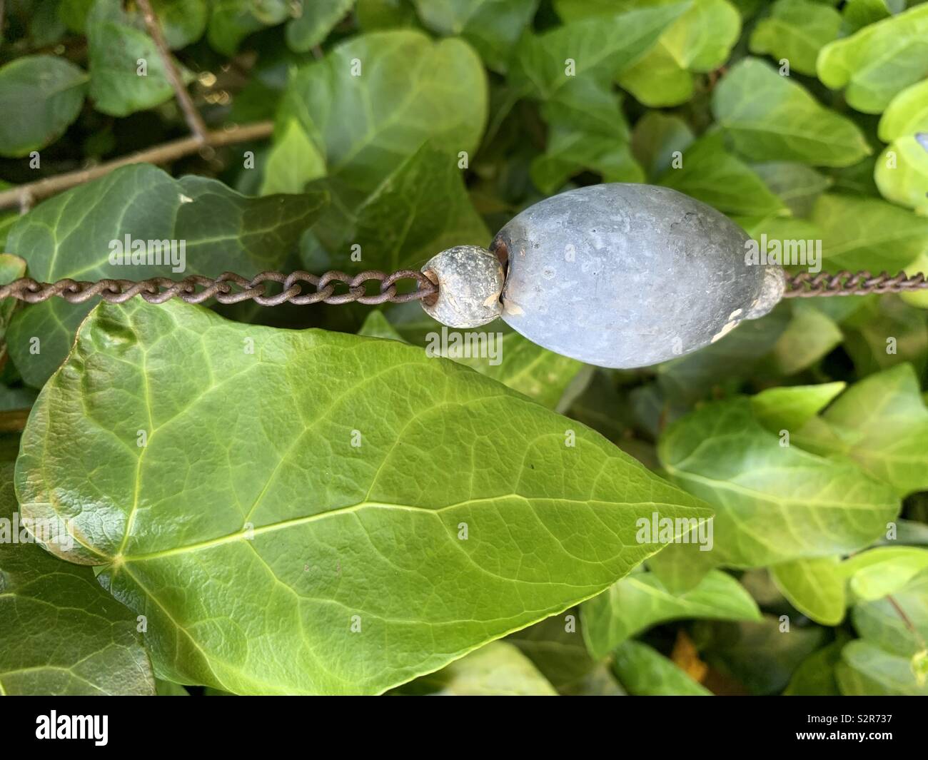Chain of leaves hi-res stock photography and images - Alamy