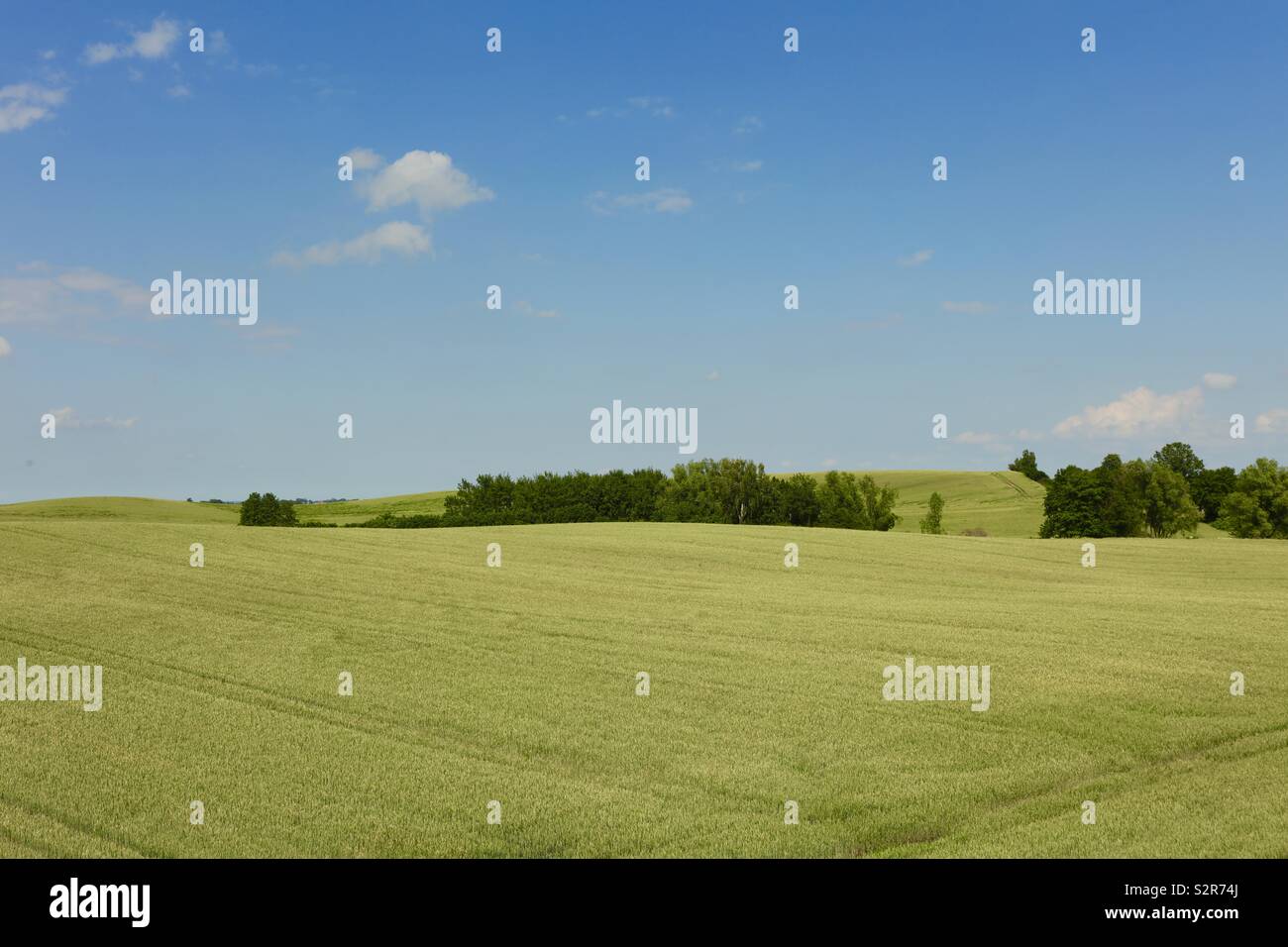 Rye landscape hi-res stock photography and images - Alamy