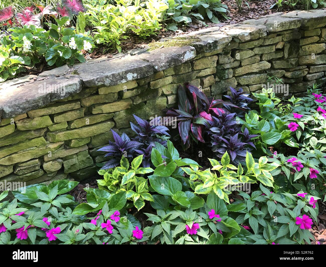 Annuals bed garden hi-res stock photography and images - Alamy