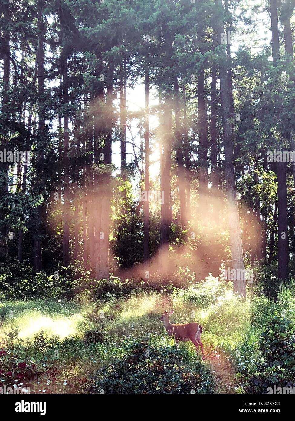 Face reflected in window hi-res stock photography and images - Alamy