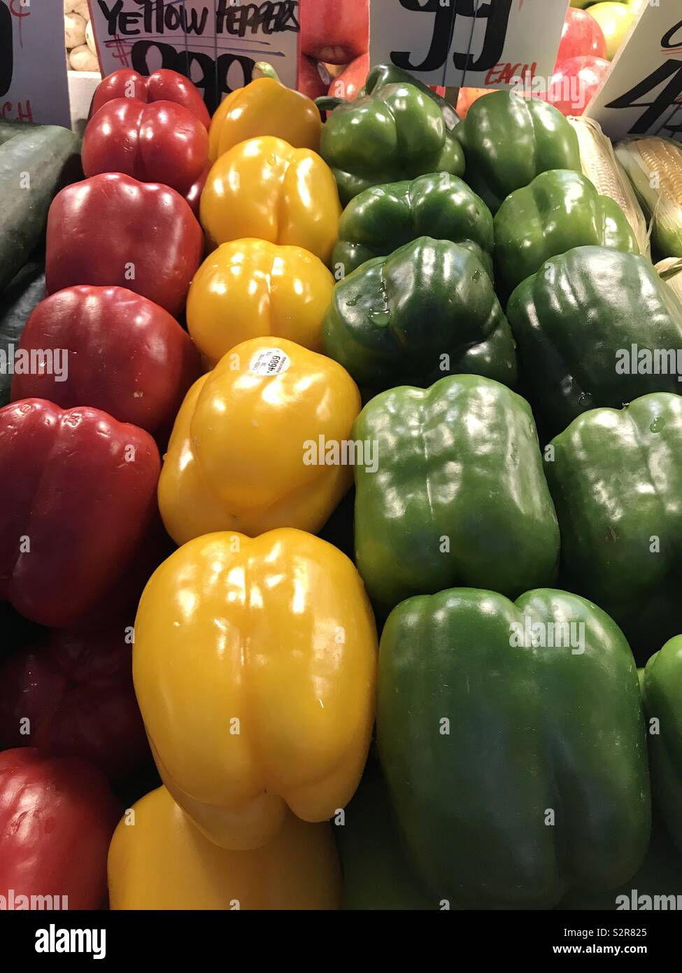 Pretty Bell Peppers All in a Row Stock Photo - Alamy
