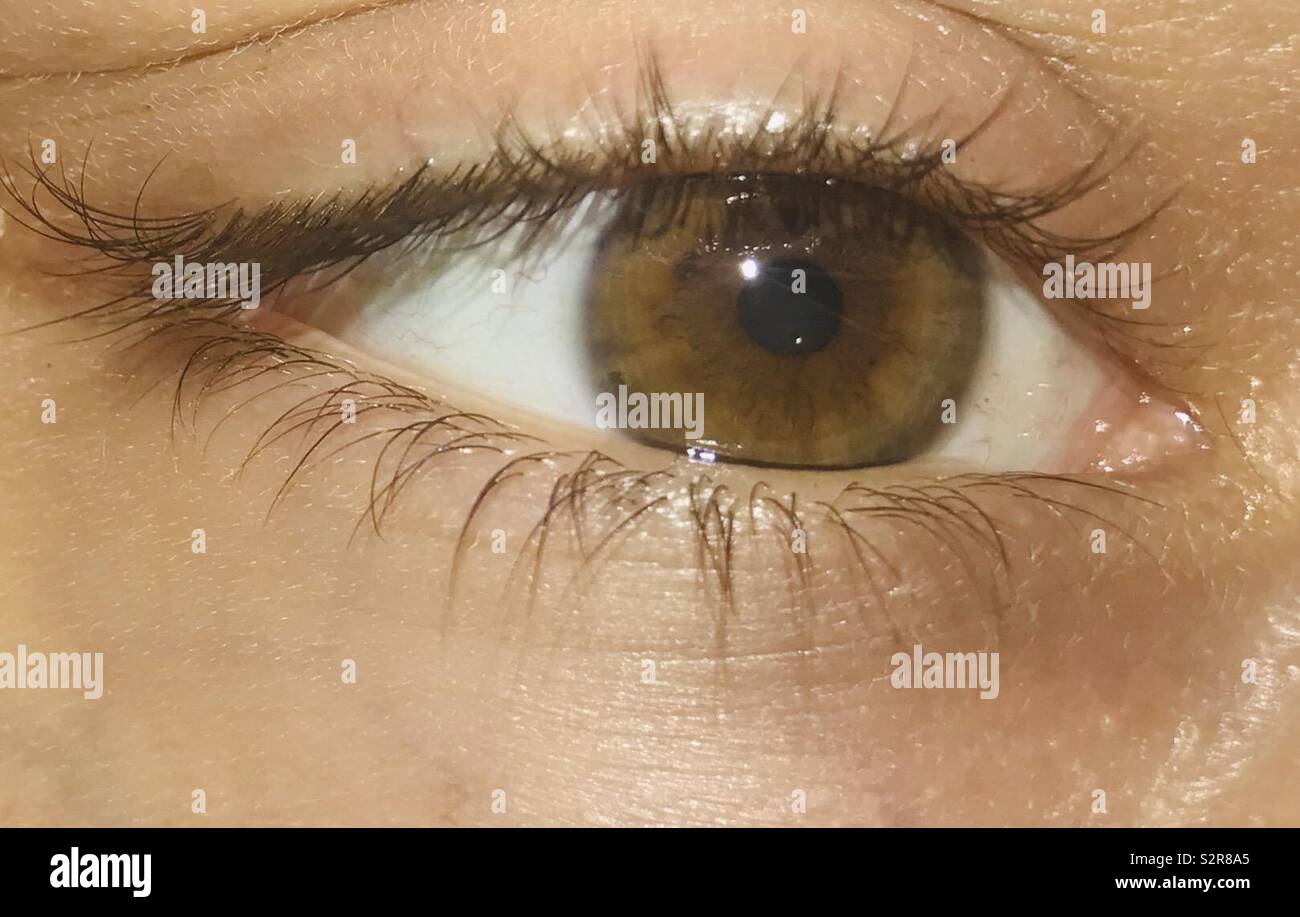 Hazel eye hi-res stock photography and images - Alamy
