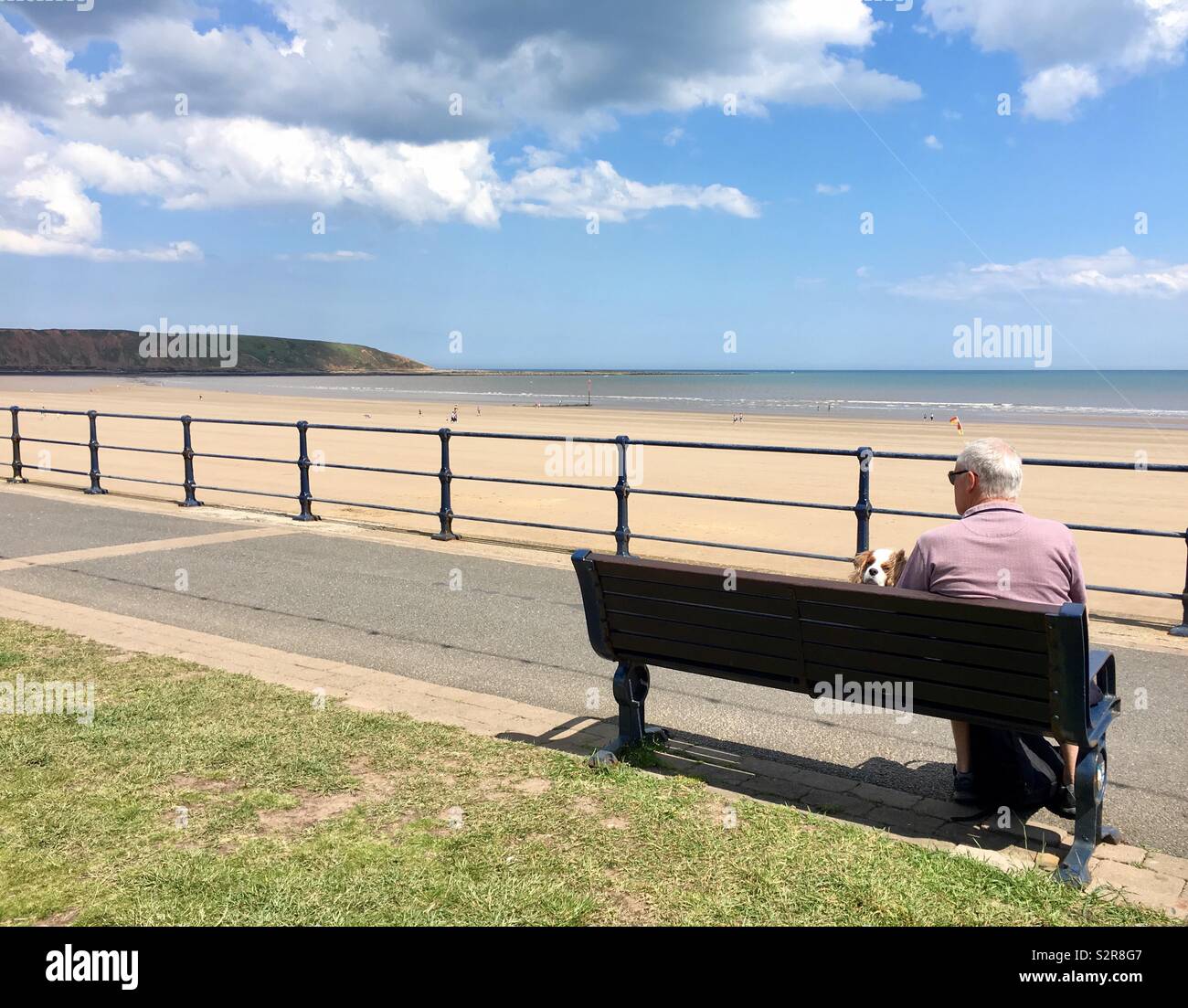 Man and his dog looking over Filey Brigg, Yorkshire Stock Photo - Alamy