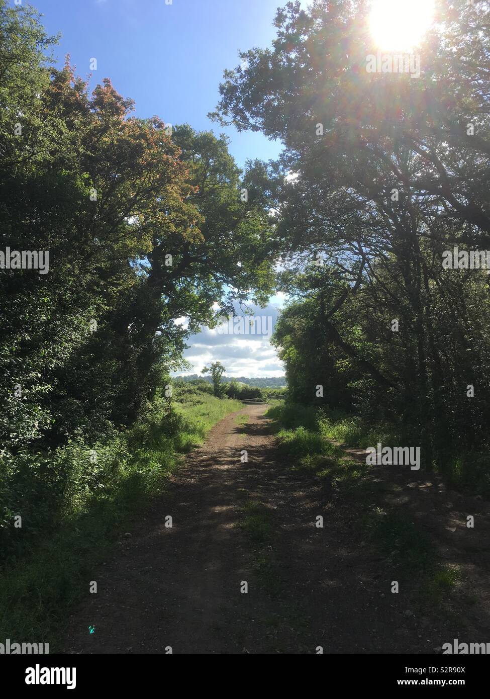 Countryside walk path through the trees Stock Photo - Alamy