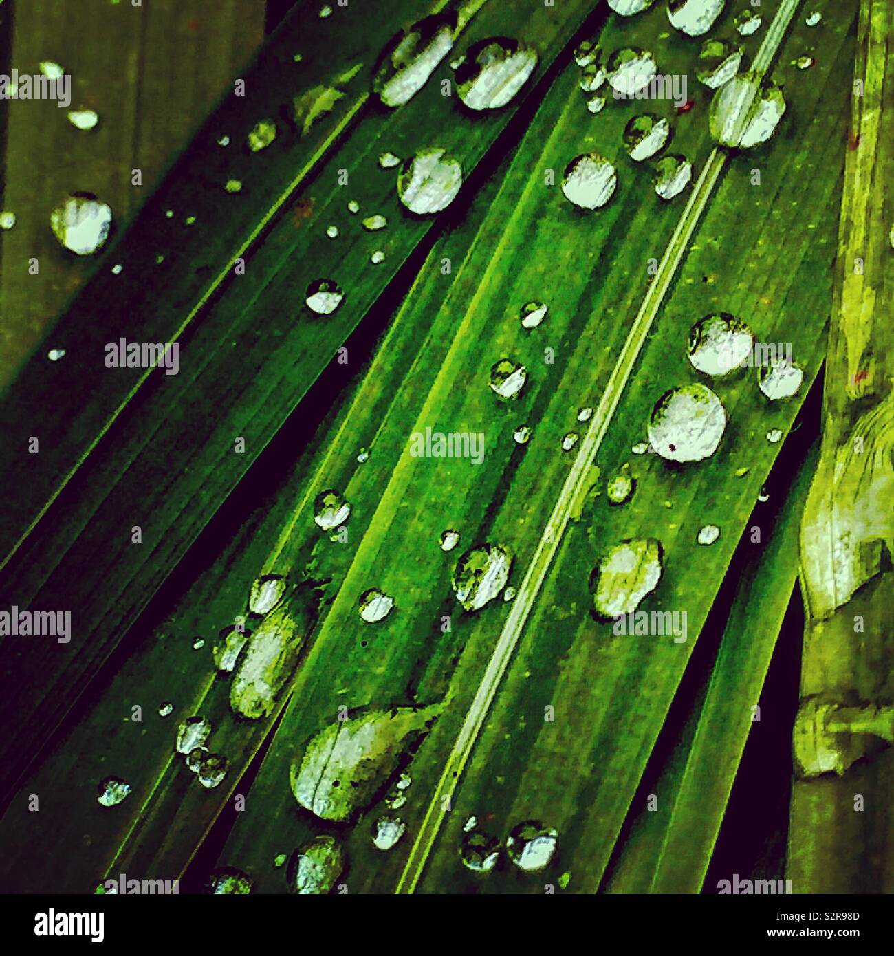 Its raining again hi-res stock photography and images - Alamy