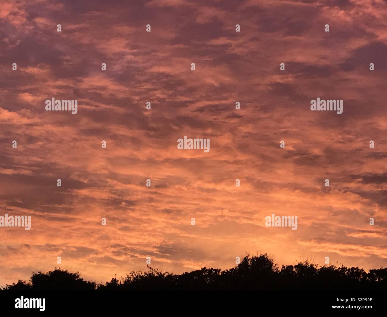 Summer solstice sunset Stock Photo - Alamy
