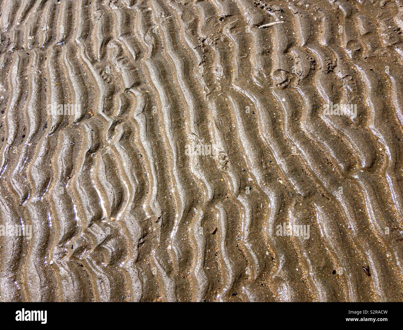 A pattern on the beach created by the current. Sandy waves with the sun ...