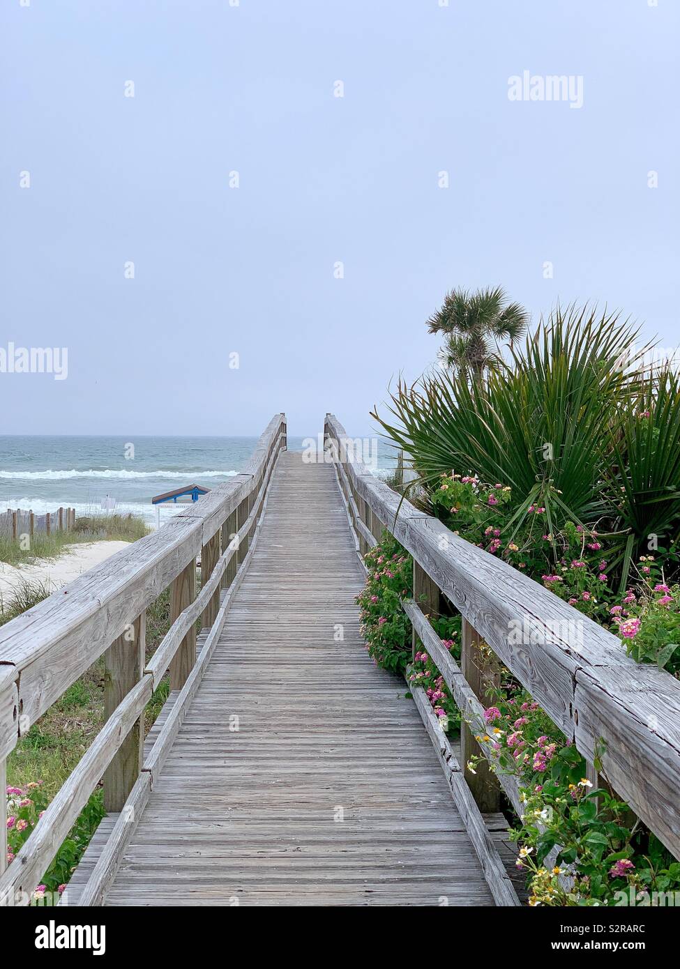 Beautiful bridge path leading to the beach with flowers and palms ...