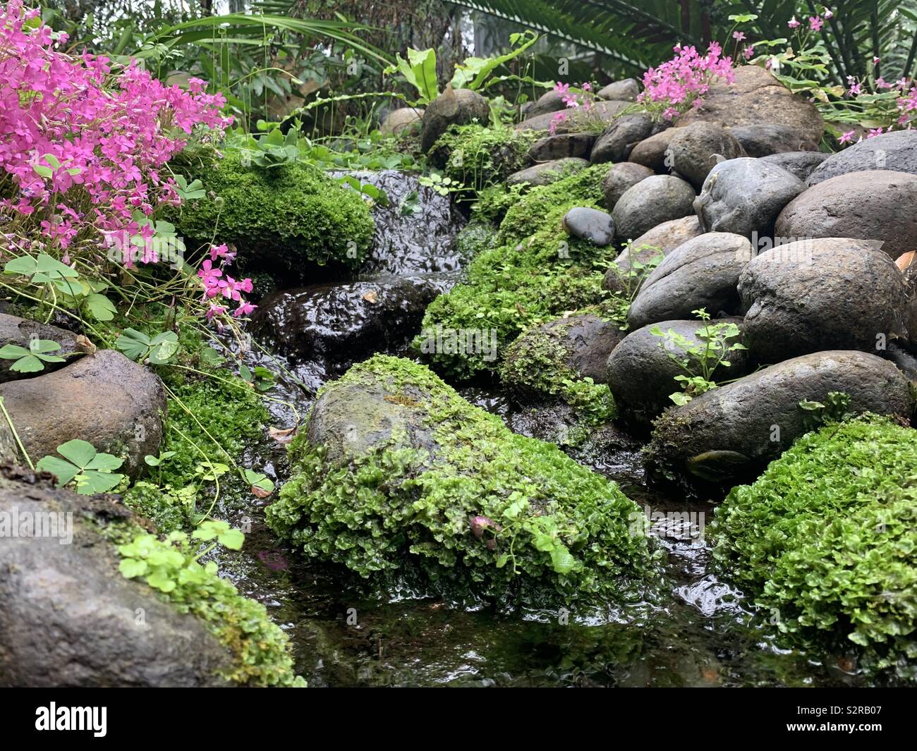 Botanical water flow hi-res stock photography and images - Alamy