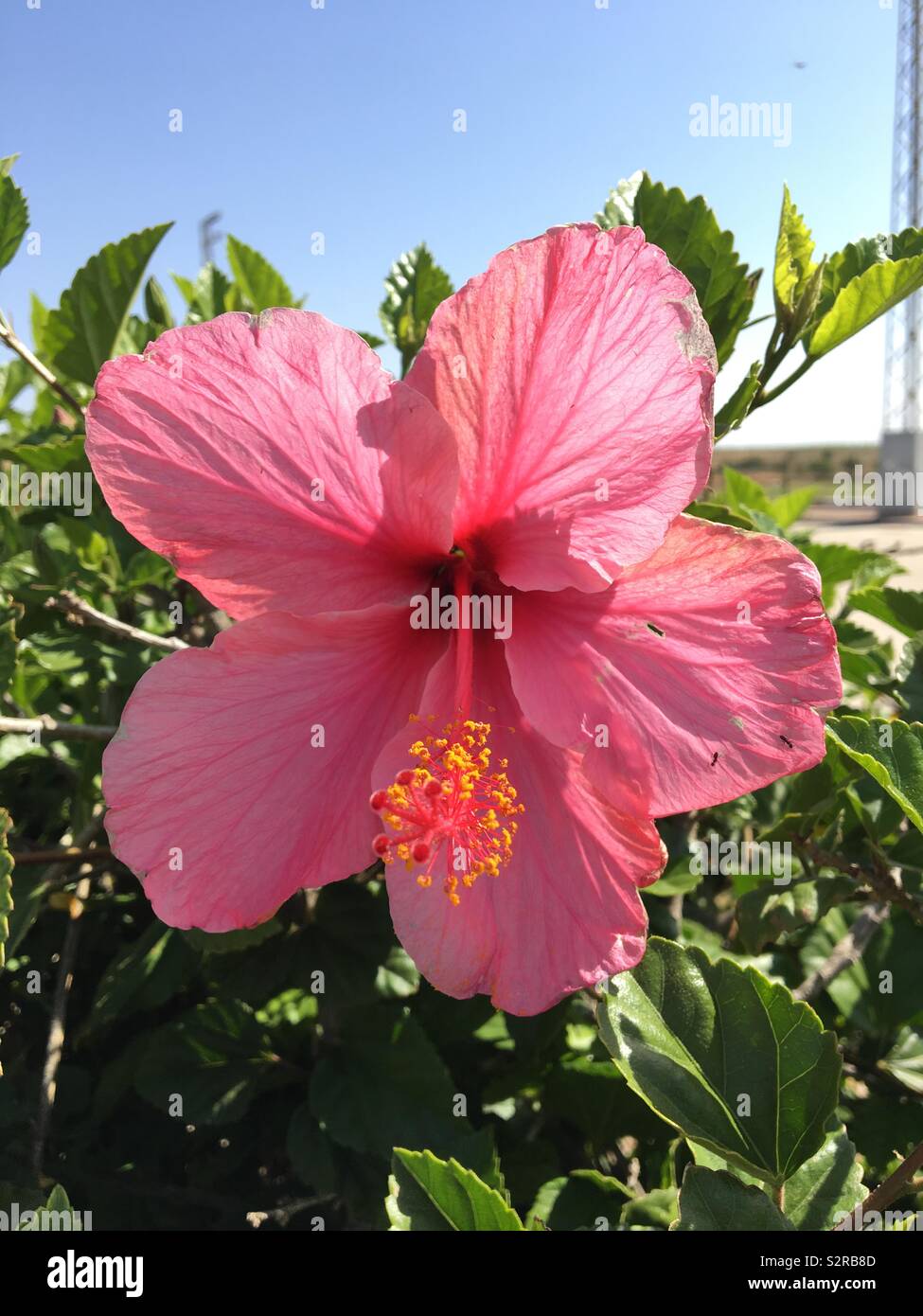 Spanish sun hi-res stock photography and images - Alamy