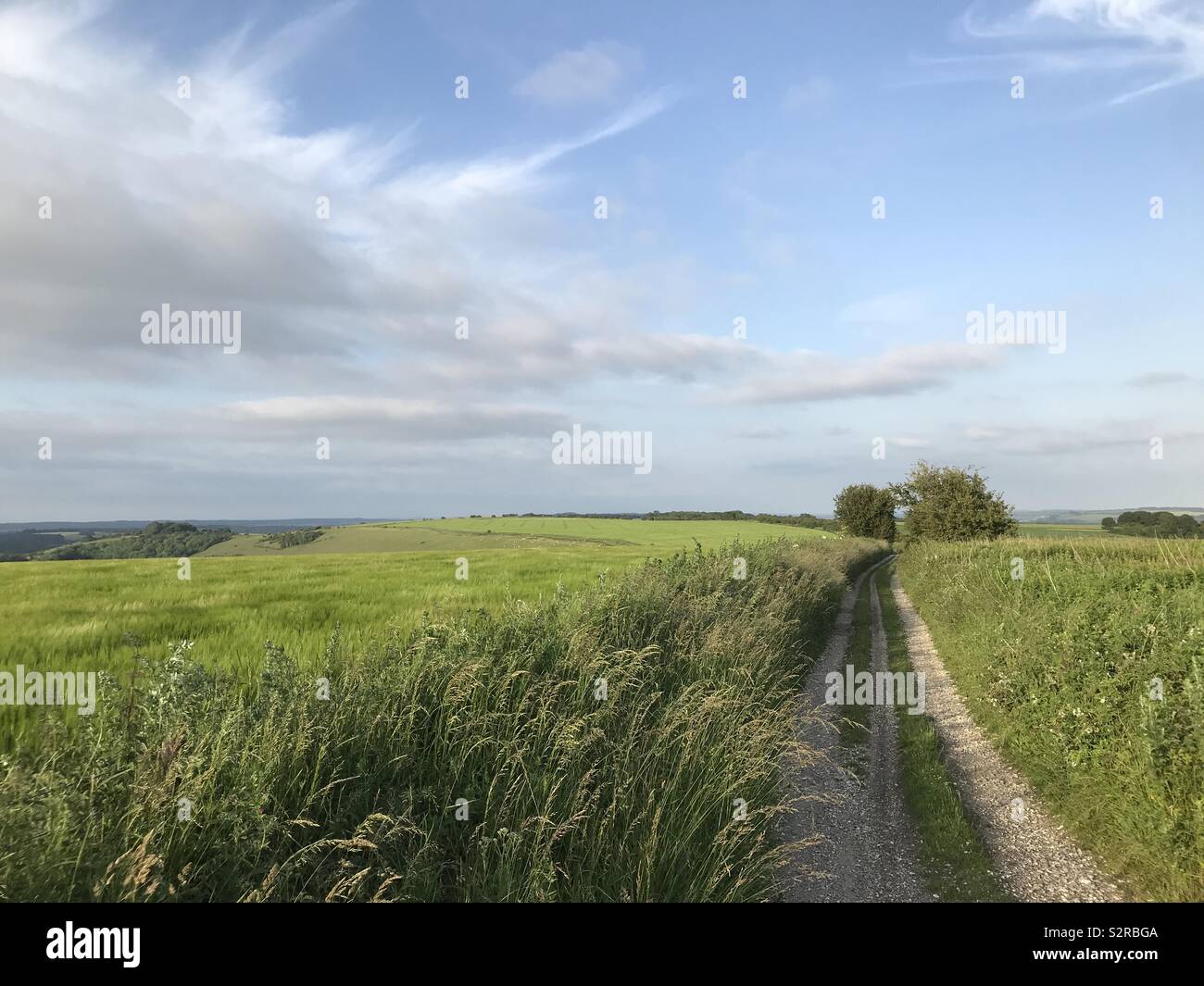 Track and wide hi-res stock photography and images - Alamy