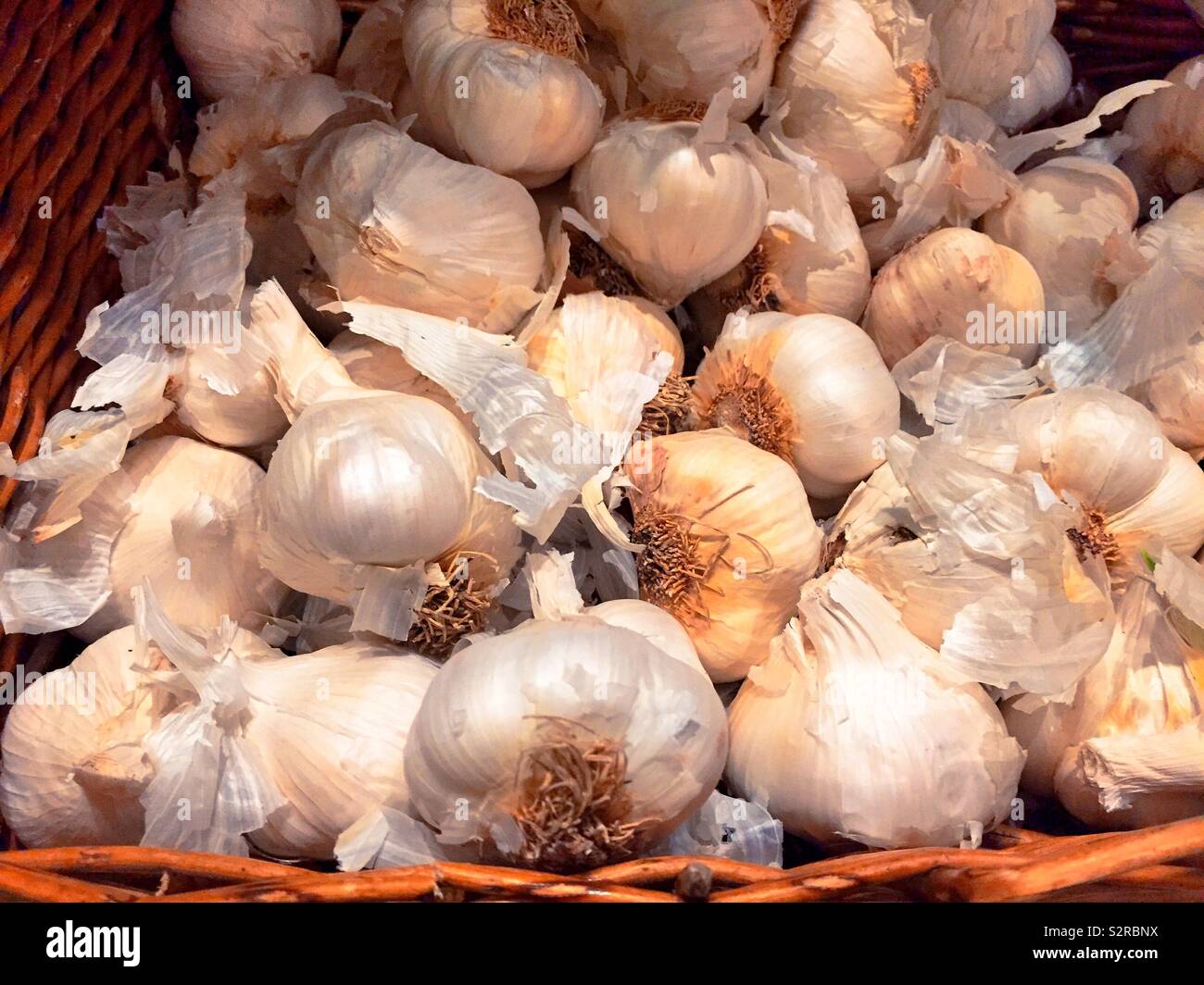 California Christopher ranch garlic Display for sale in a upscale ...