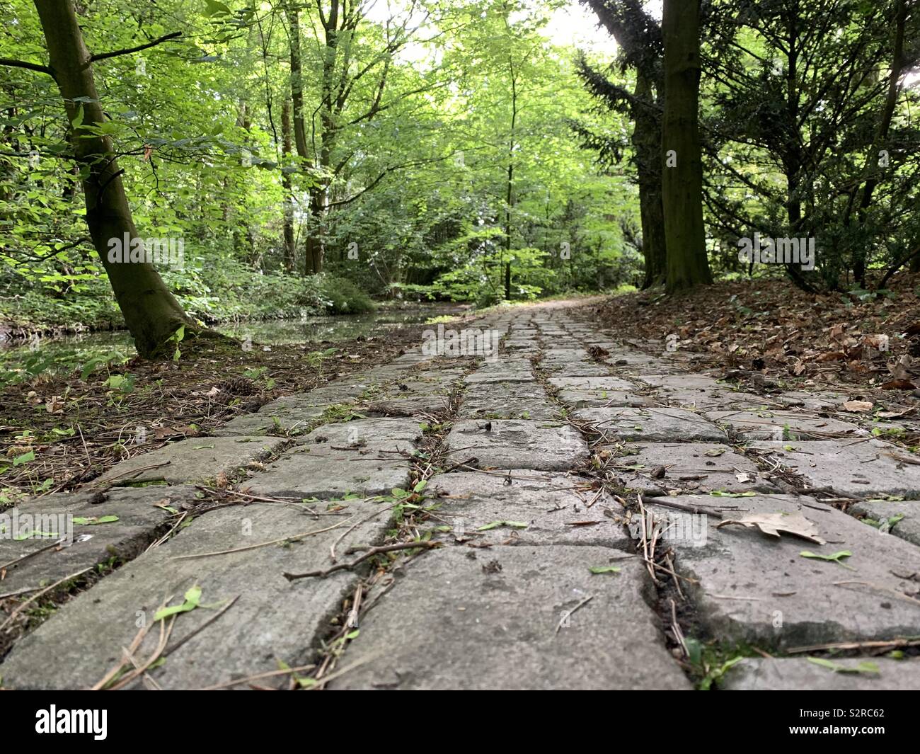 Lower ground hi-res stock photography and images - Alamy