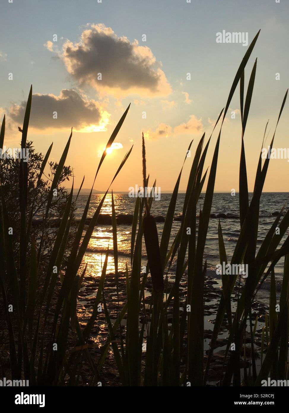 Canadian marsh hi-res stock photography and images - Alamy