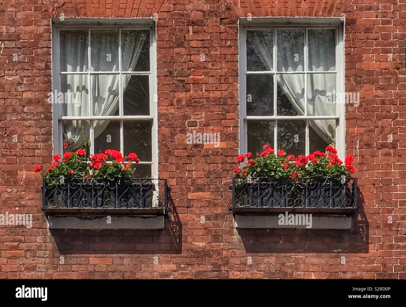Symmetry in a pair of windows with flower boxes Stock Photo - Alamy