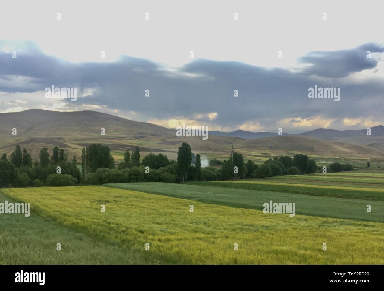 One day in Spring Stock Photo - Alamy