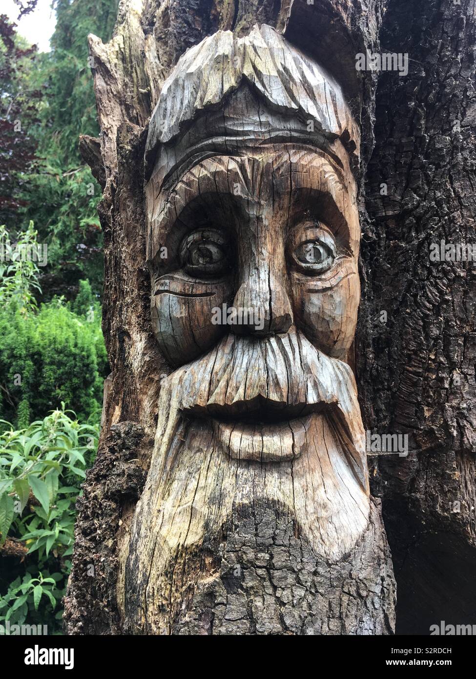 Carved face in wood Stock Photo - Alamy