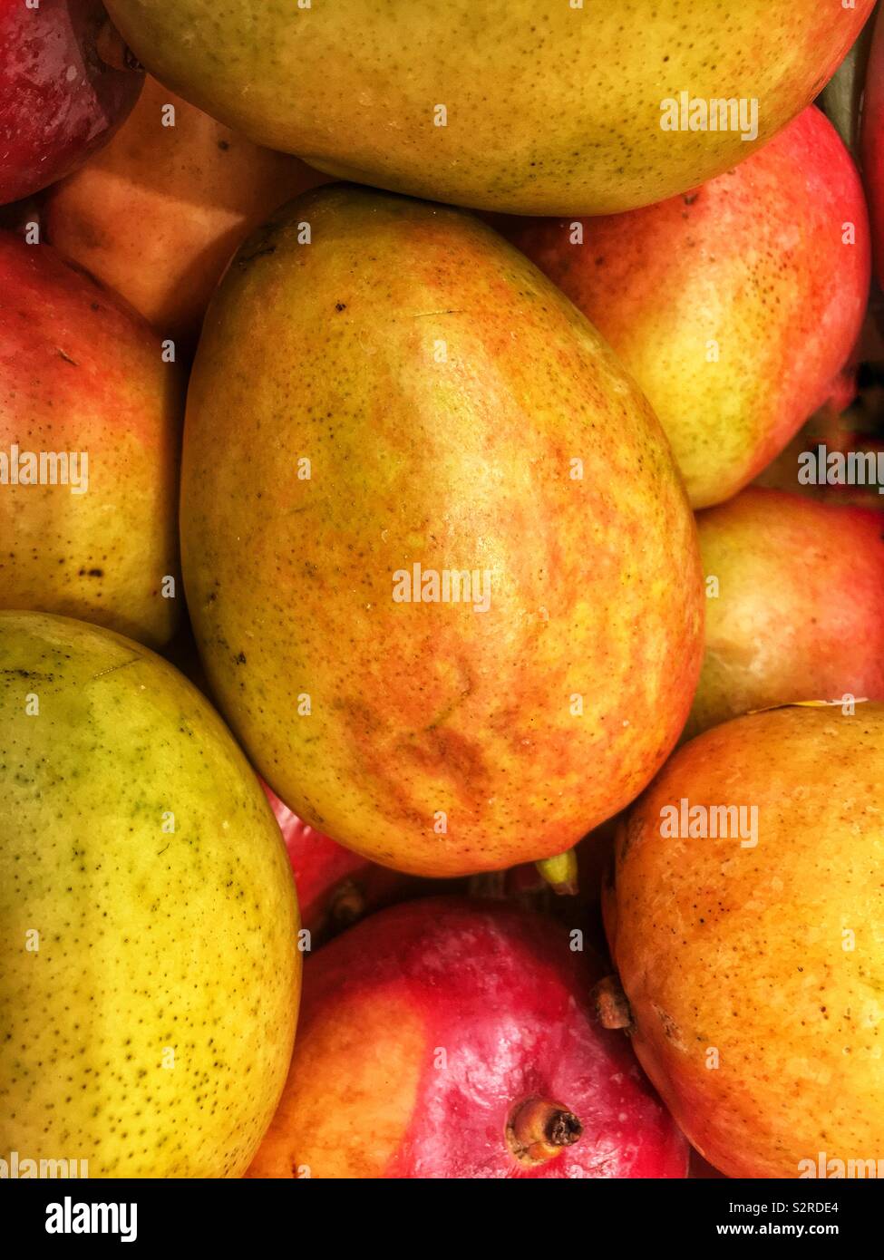 Best mango fruit hi-res stock photography and images - Alamy