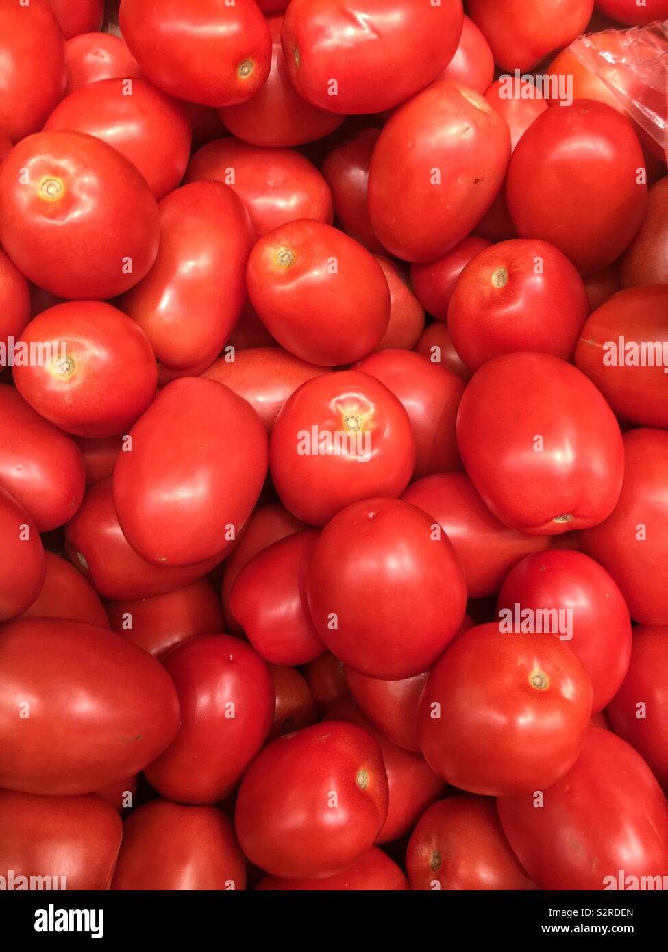 Roma tomatoes hi-res stock photography and images - Alamy