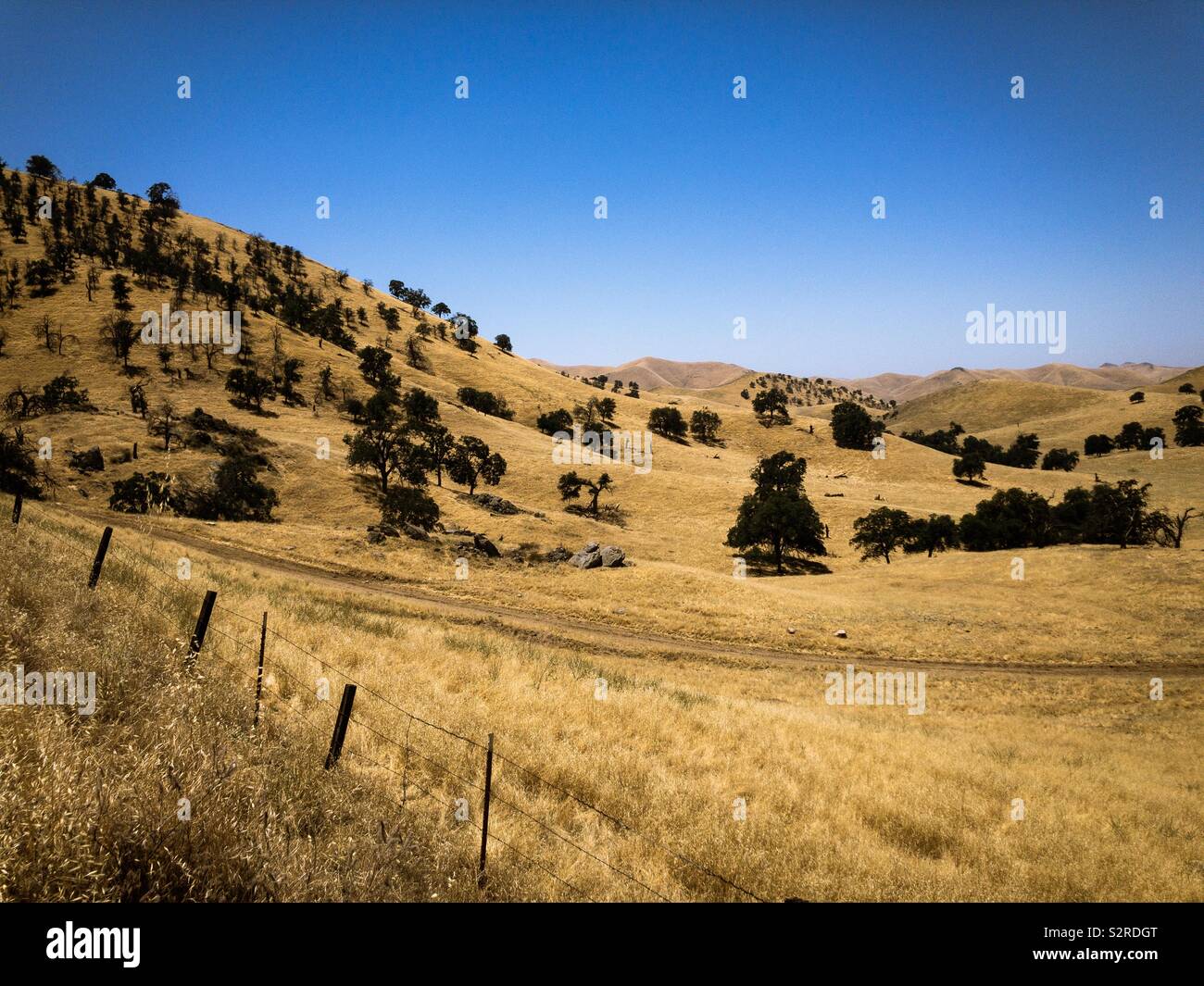 Sequoia National Forest. California Stock Photo - Alamy