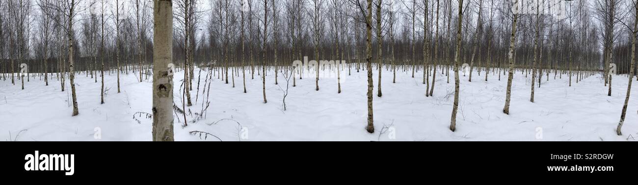 Jou hi-res stock photography and images - Alamy