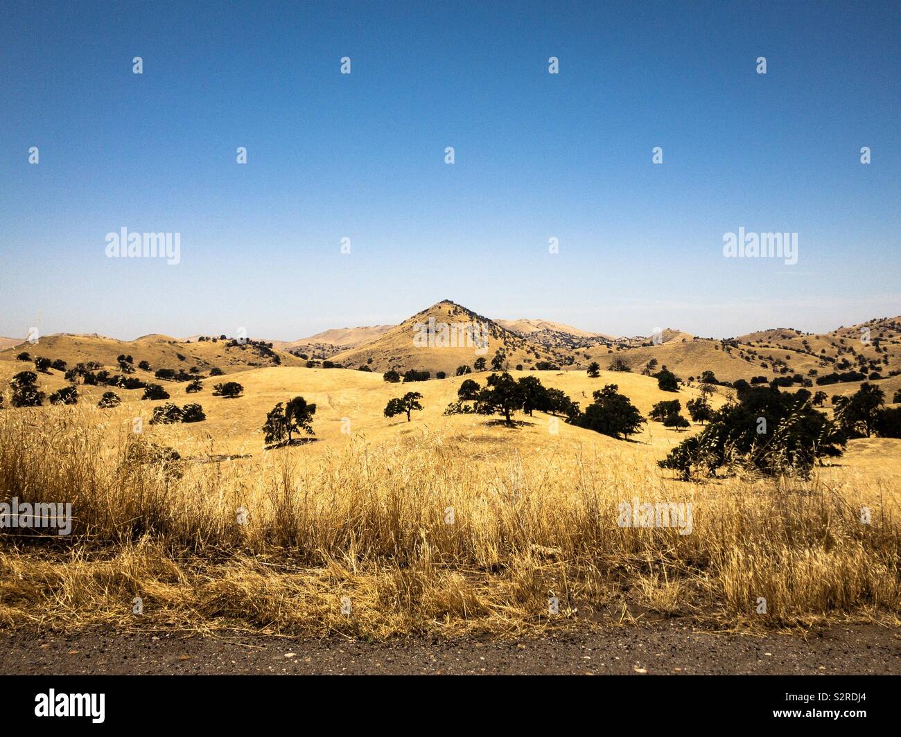 Sequoia National Forest. California Stock Photo - Alamy