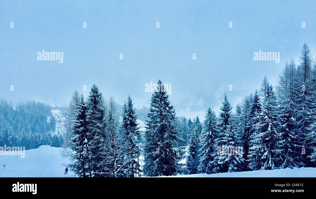 Whiteout with fog and snow. View of Austrian mountains Stock Photo - Alamy