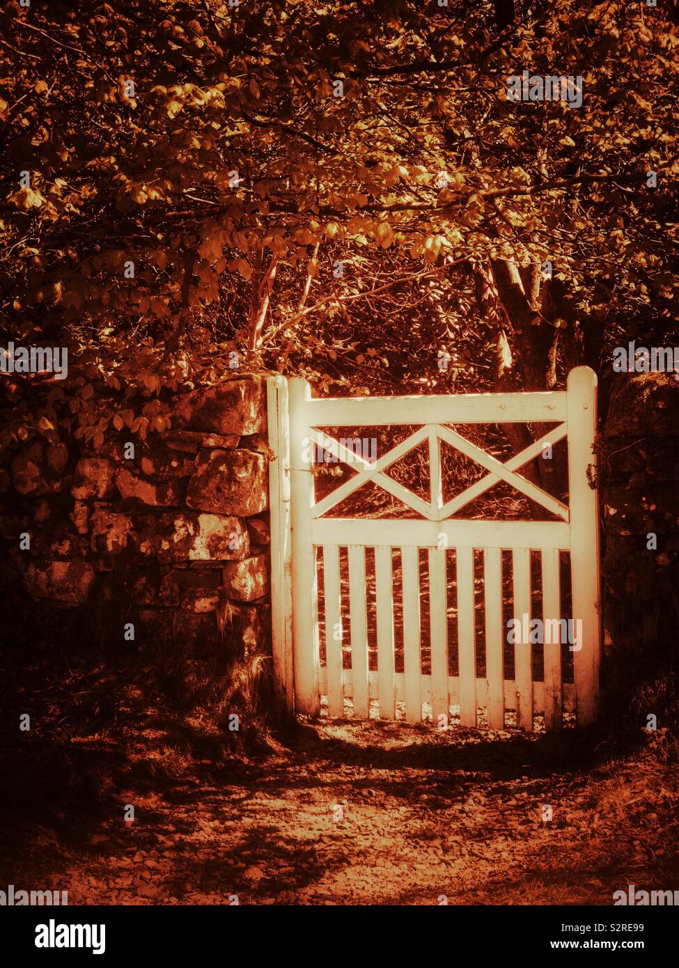 White wooden gates hi-res stock photography and images - Alamy