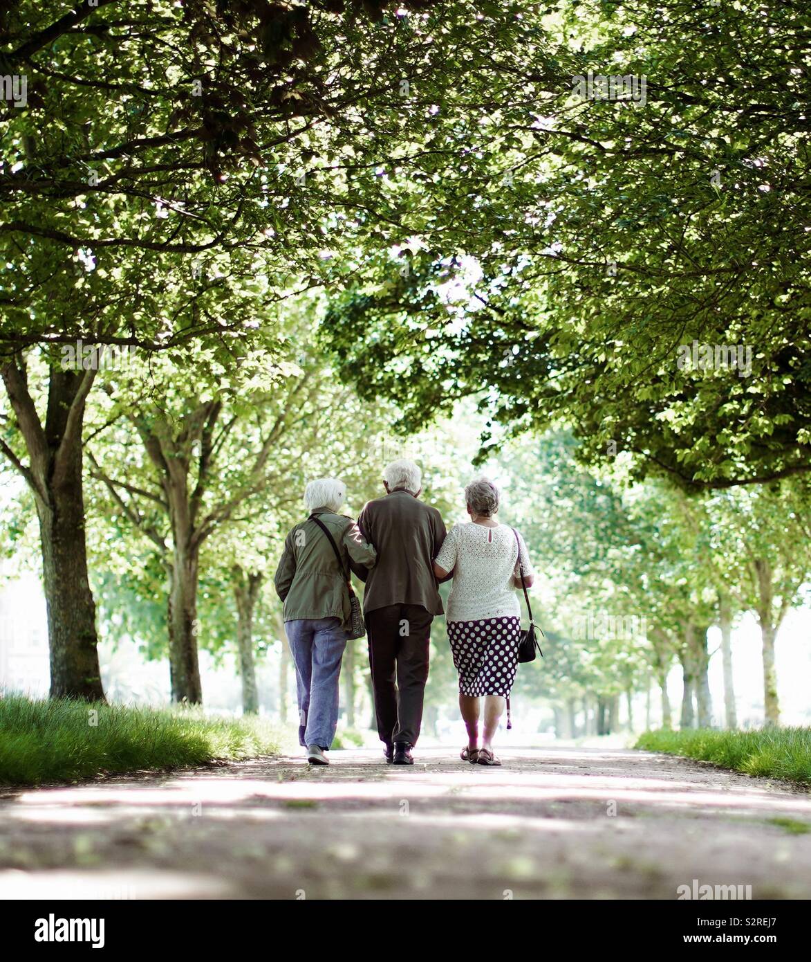 Helping Hands, morning walk on Southsea Common Stock Photo - Alamy